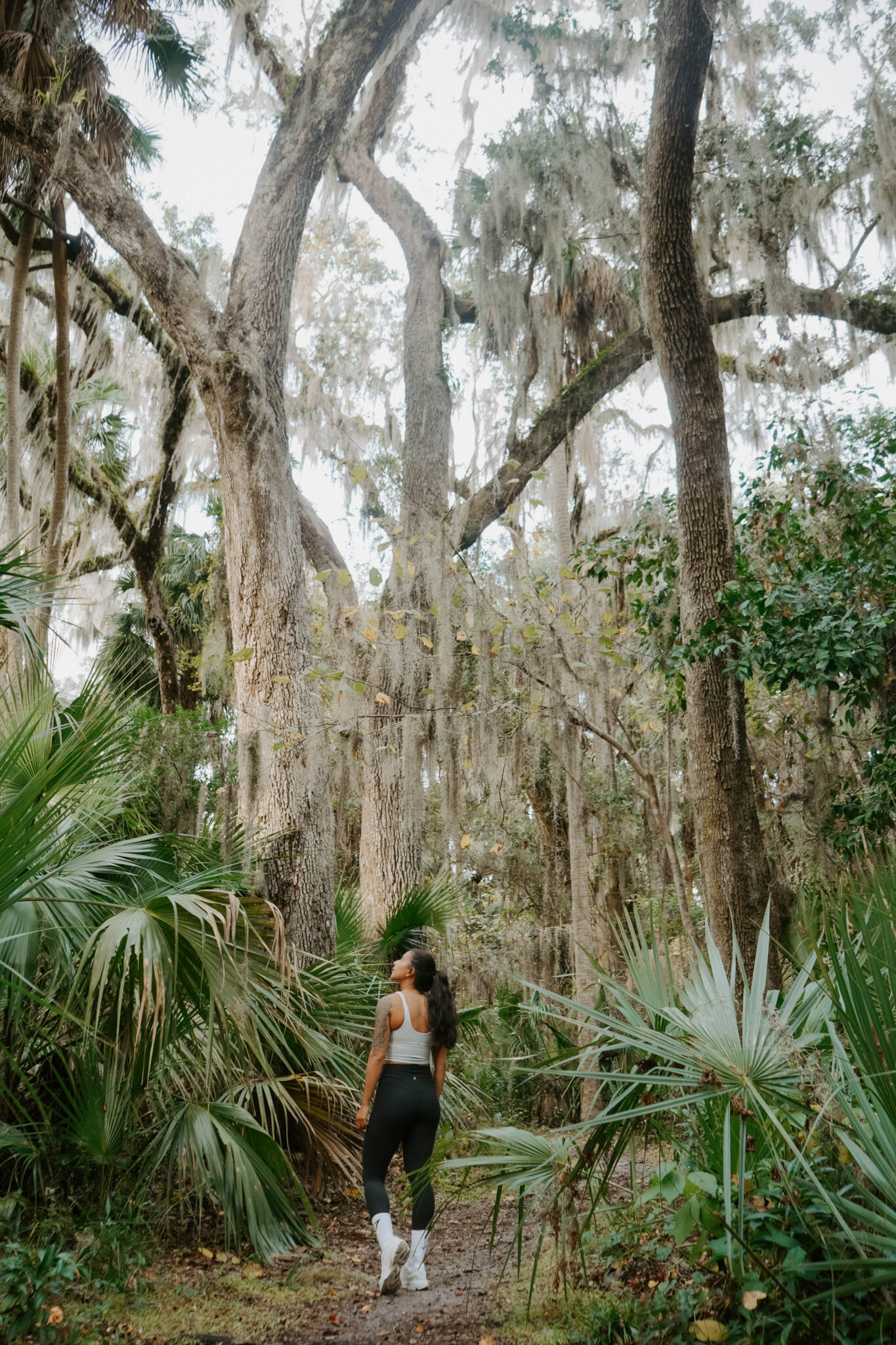 4 Natural Springs You Need To Visit In West Volusia, FL - Suzi On The Move