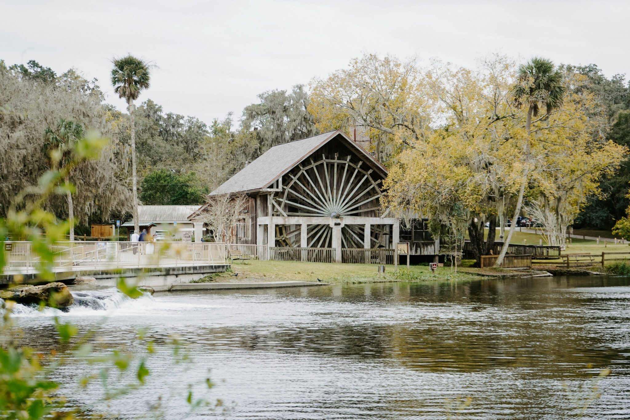 4 Natural Springs You Need To Visit In West Volusia, FL - Suzi On The Move