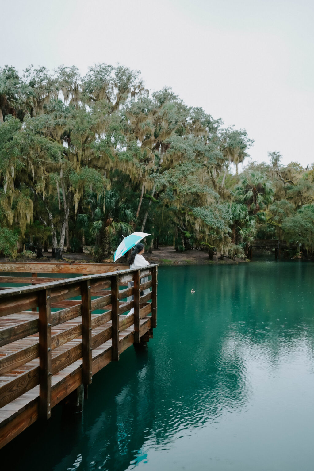 4 Natural Springs You Need To Visit In West Volusia, FL - Suzi On The Move
