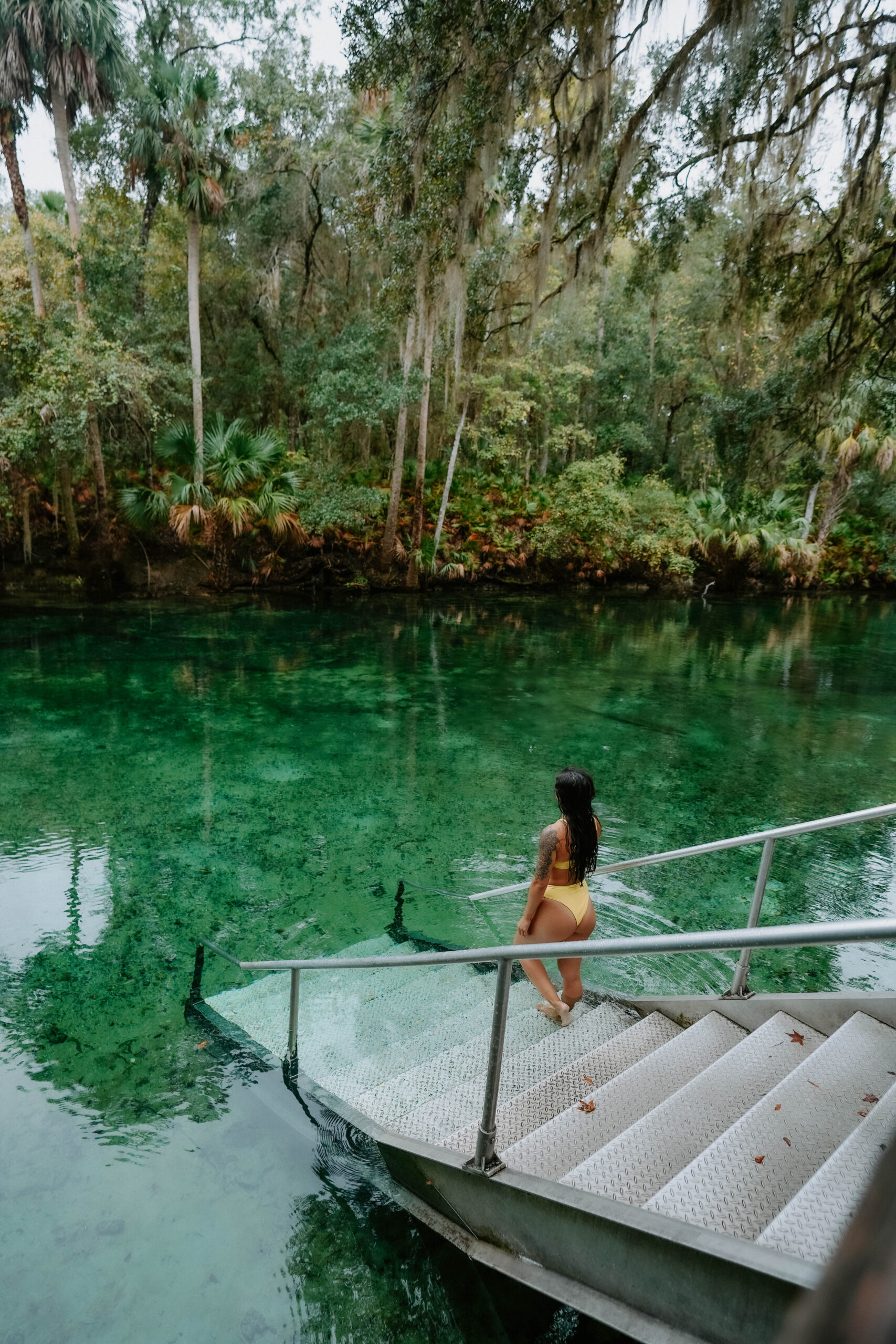 4 Natural Springs You Need To Visit In West Volusia, FL - Suzi On The Move